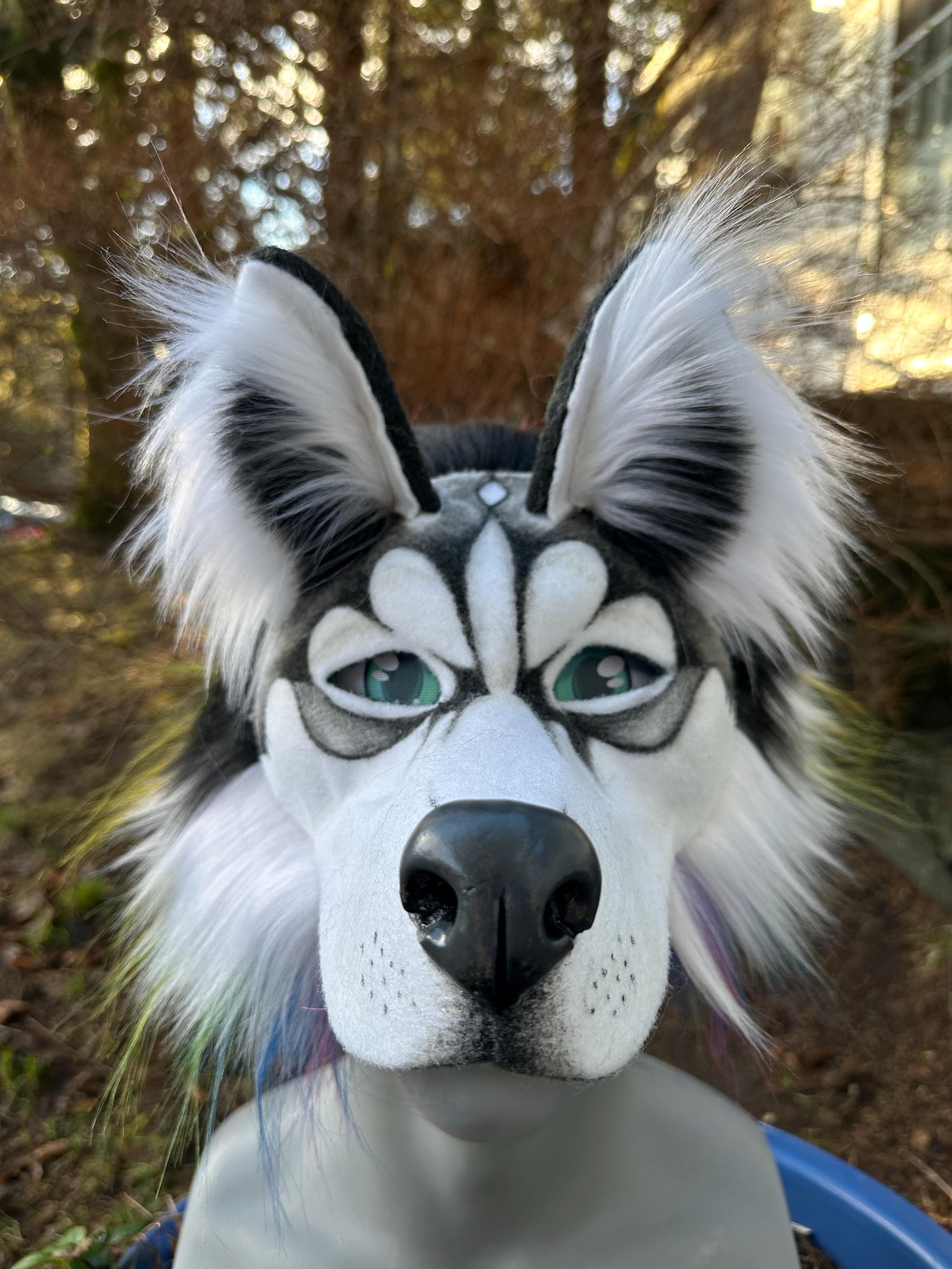 Siberian Husky Mask - Etsy