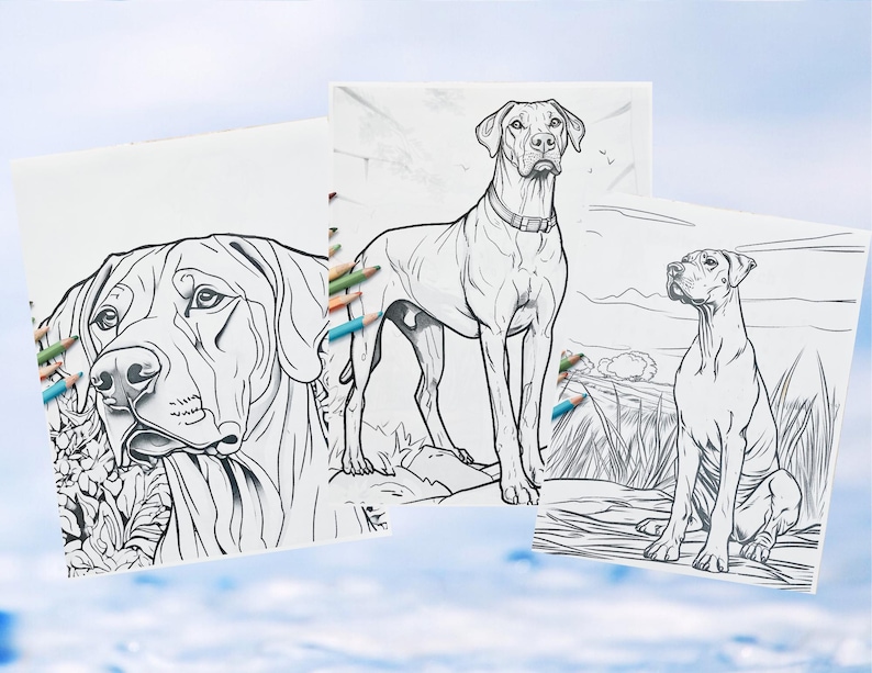 4 Rhodesian Ridgeback Coloring Pages for Kids and Adults.stress Relief ...