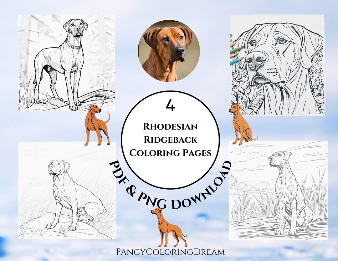 4 Rhodesian Ridgeback Coloring Pages for Kids and Adults.stress Relief ...