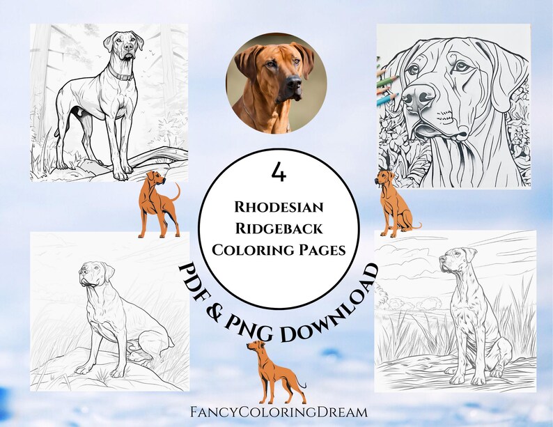4 Rhodesian Ridgeback Coloring Pages for Kids and Adults.stress Relief ...