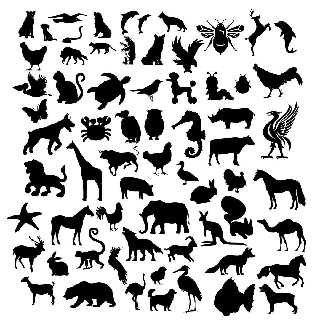 Animal Svg Bundle , Animal Handrawn Svg, Animal Silhouette Svg, Animal ...