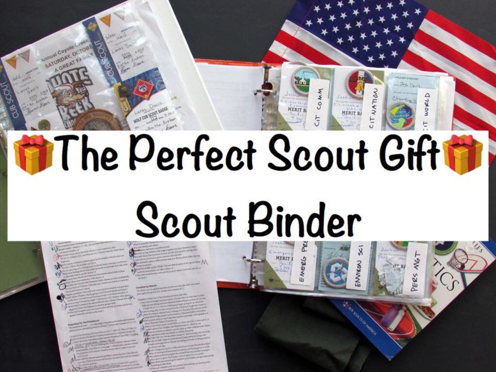 Updated 2024 Cub Scout Binder, BSA Scout, Lion - AOL Scouting ...