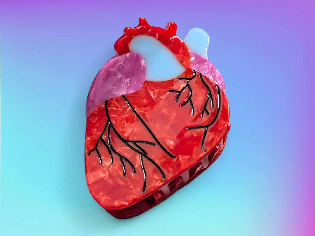 Anatomical Heart Hair Claw: Acrylic Medical Statement Clip - Etsy