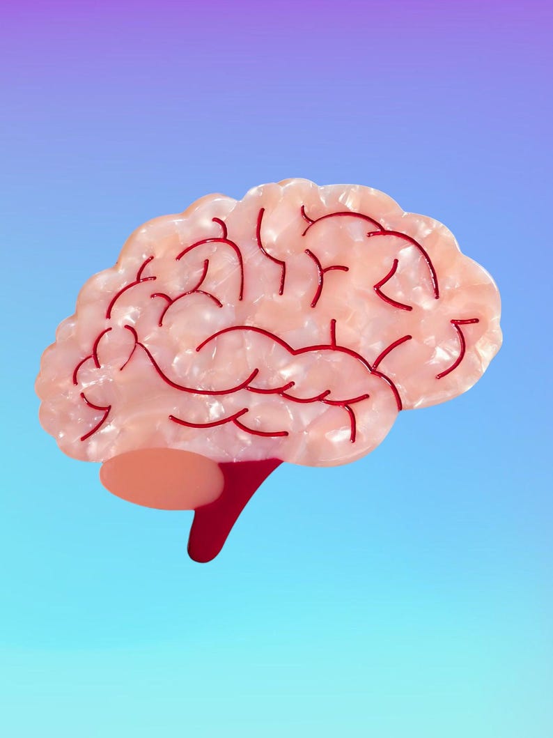 Acrylic Brain Hair Claw - Unique Medical Gift for Doctor or Nurse - Etsy