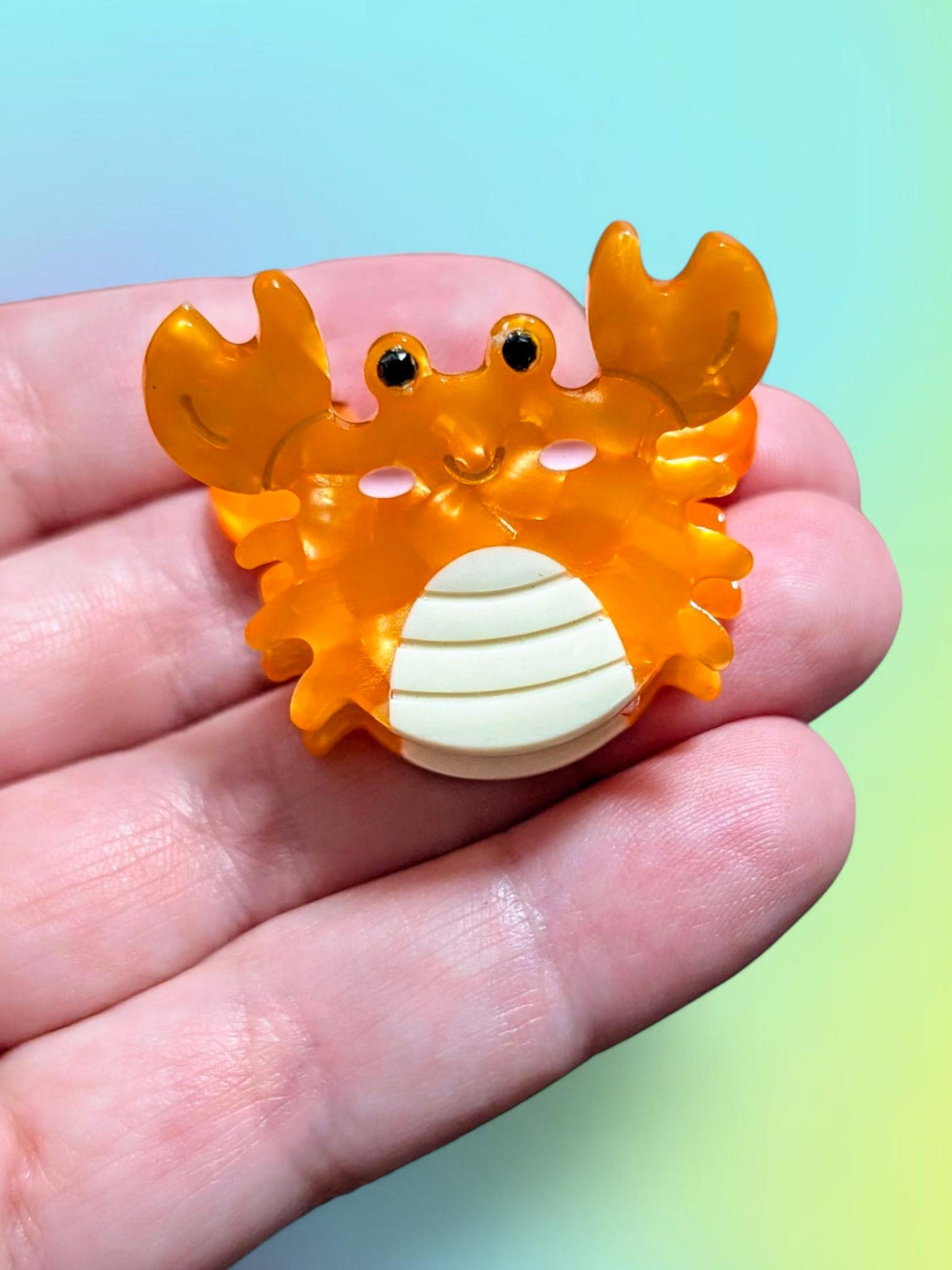 Ocean Friends Acrylic Hair Claw – Mini Sea Animal Clip - Etsy
