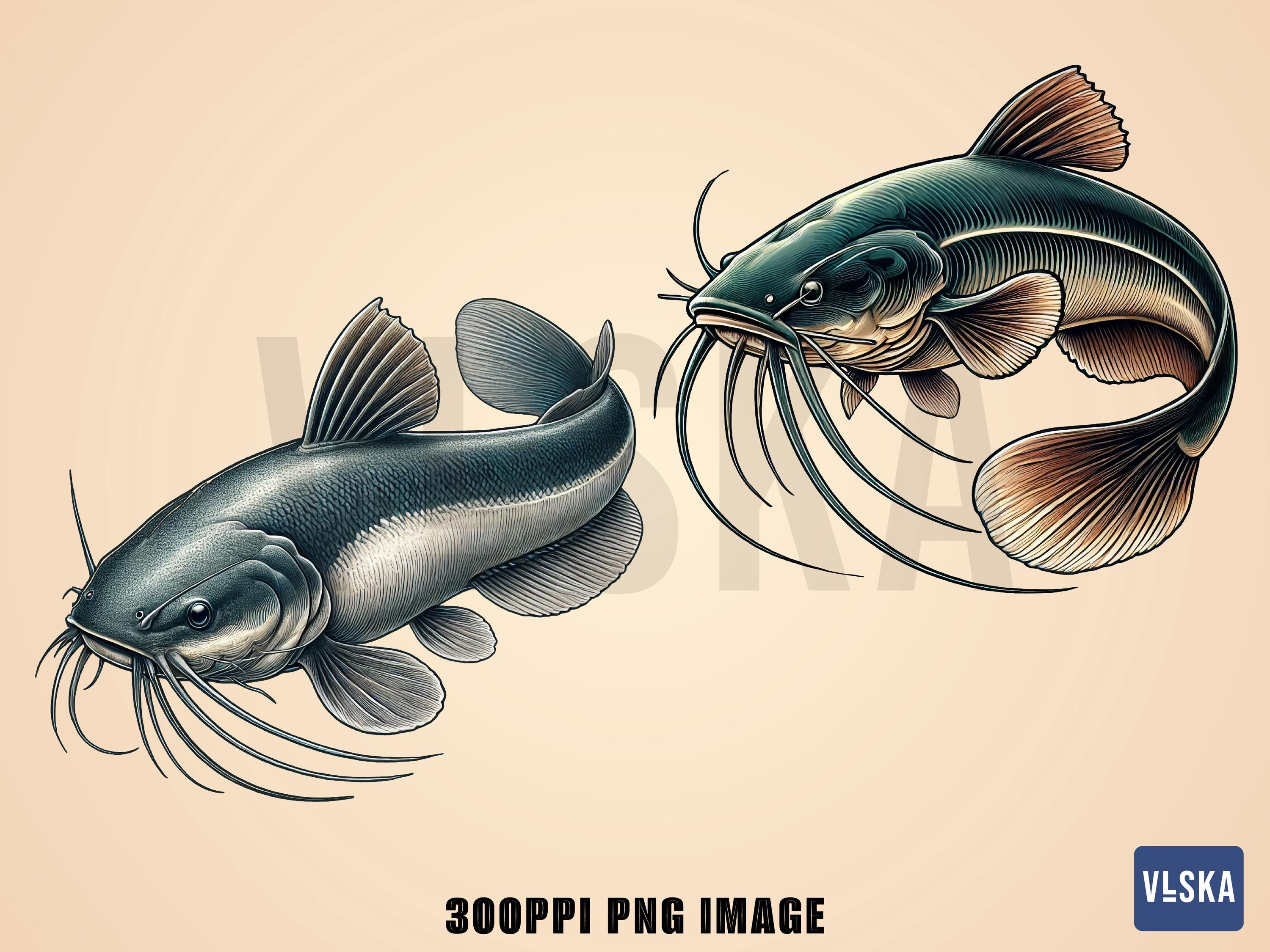 Catfish PNG Bundle | Catfish Fishing Png | Fishing Png | Jumping Fish ...
