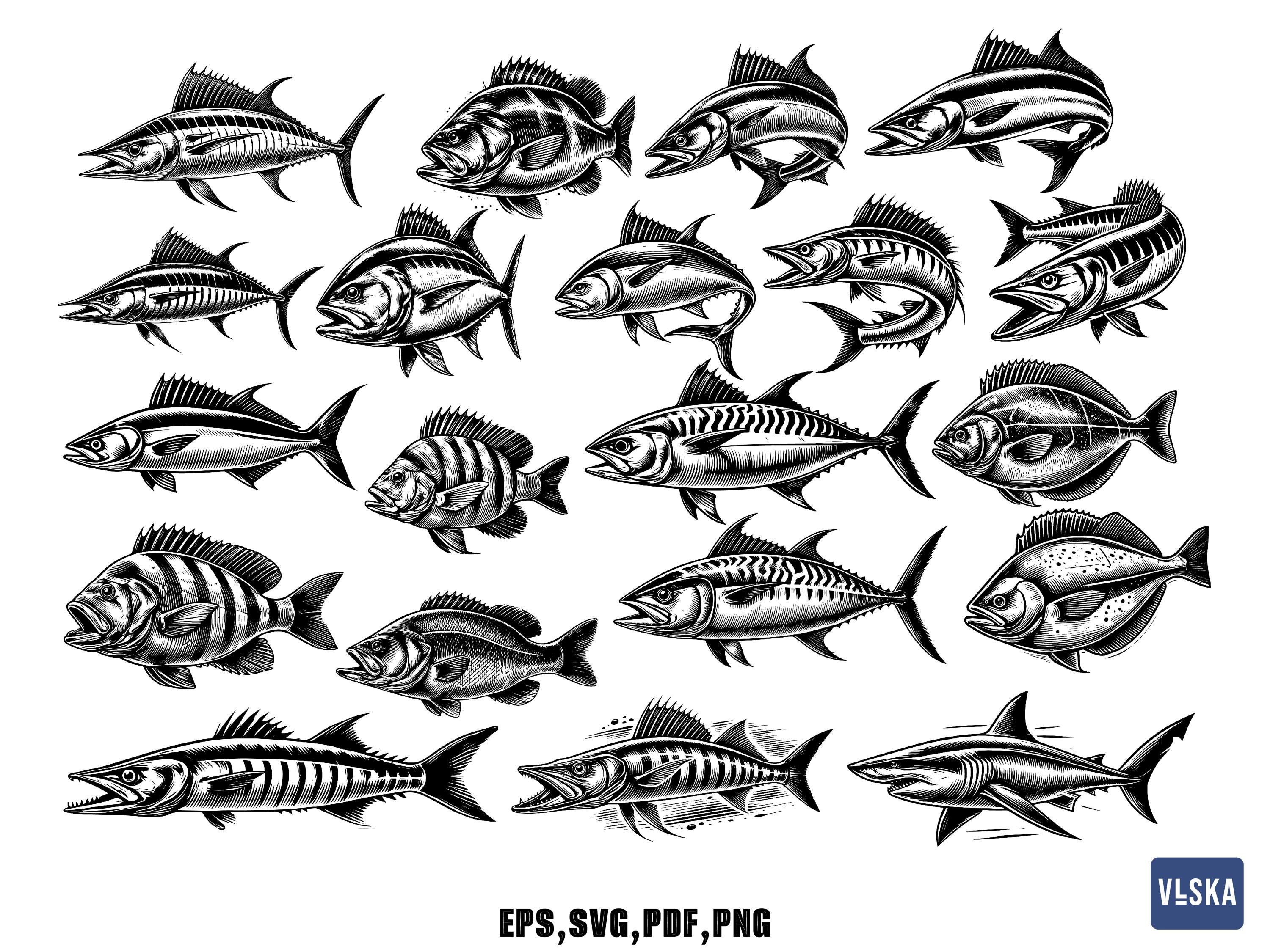 Saltwater Fish SVG Clipart Bundle for Fishing | 81 Sea Fish Designs for ...