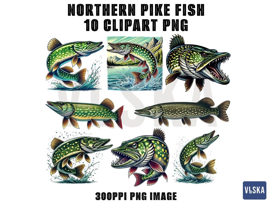 Northern Pike Fish PNG Bundle | Muskellunge Fishing Png | Fishing Png ...