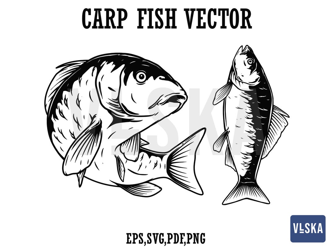 Carp Fish Vector Svg Eps Png Pdf | Fishing SVG | Commercial Use Design ...