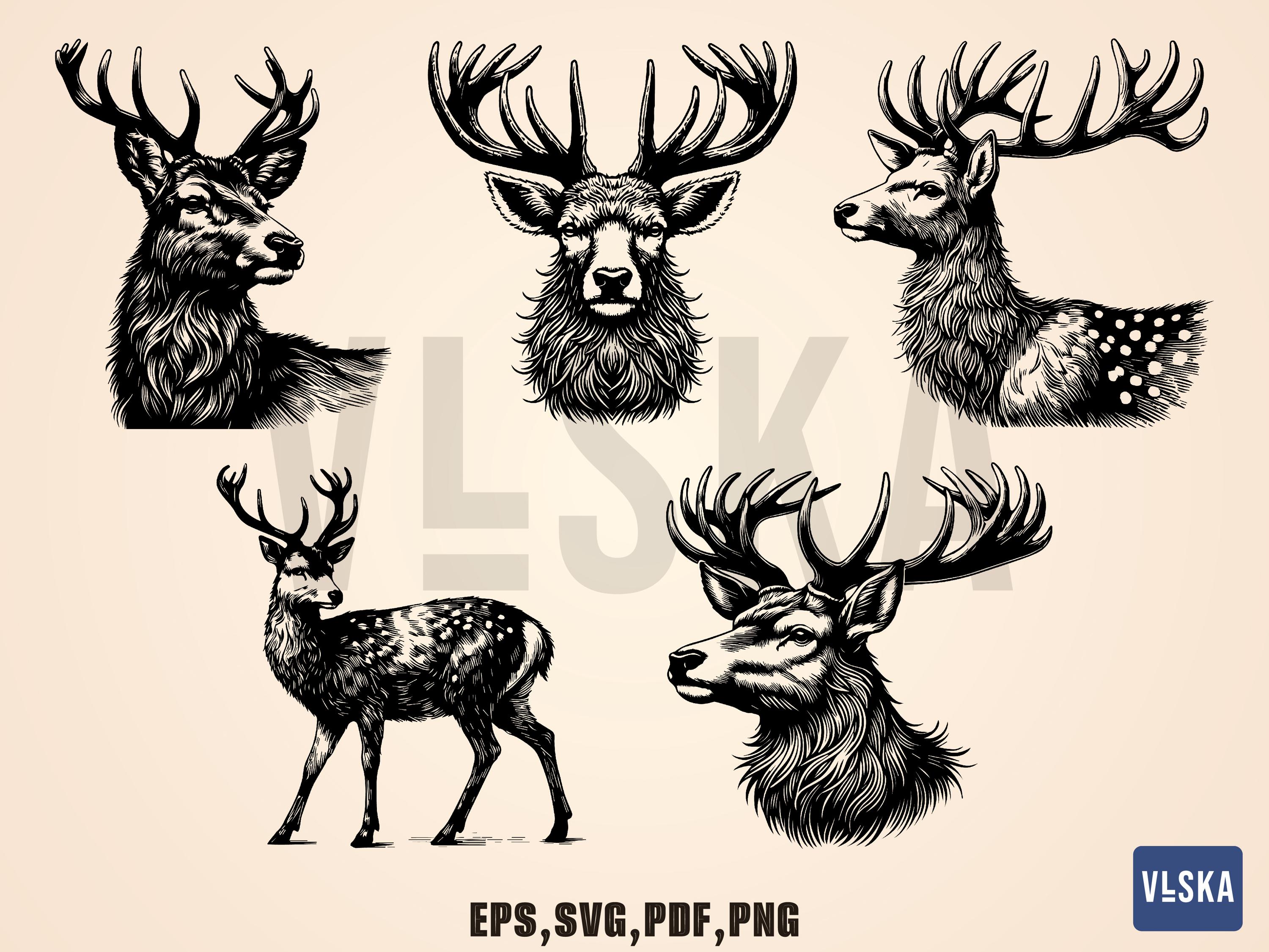 Deer Vector SVG Bundle | Deer Hunting SVG | Deer in Forest | Deer Cut ...