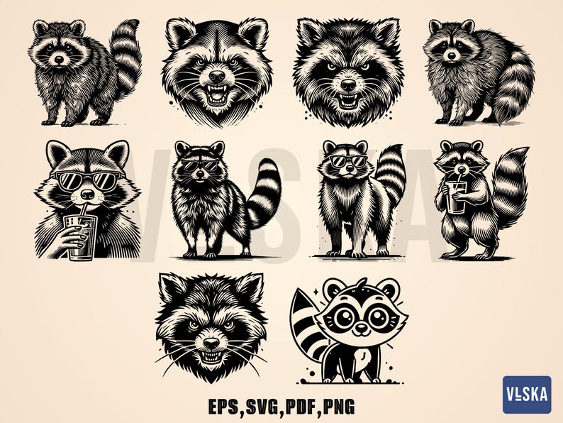 Raccoon Vector SVG Bundle | Raccoon Silhouette Vector | Cute Raccoon Clipart | Raccoon Head PNG ...