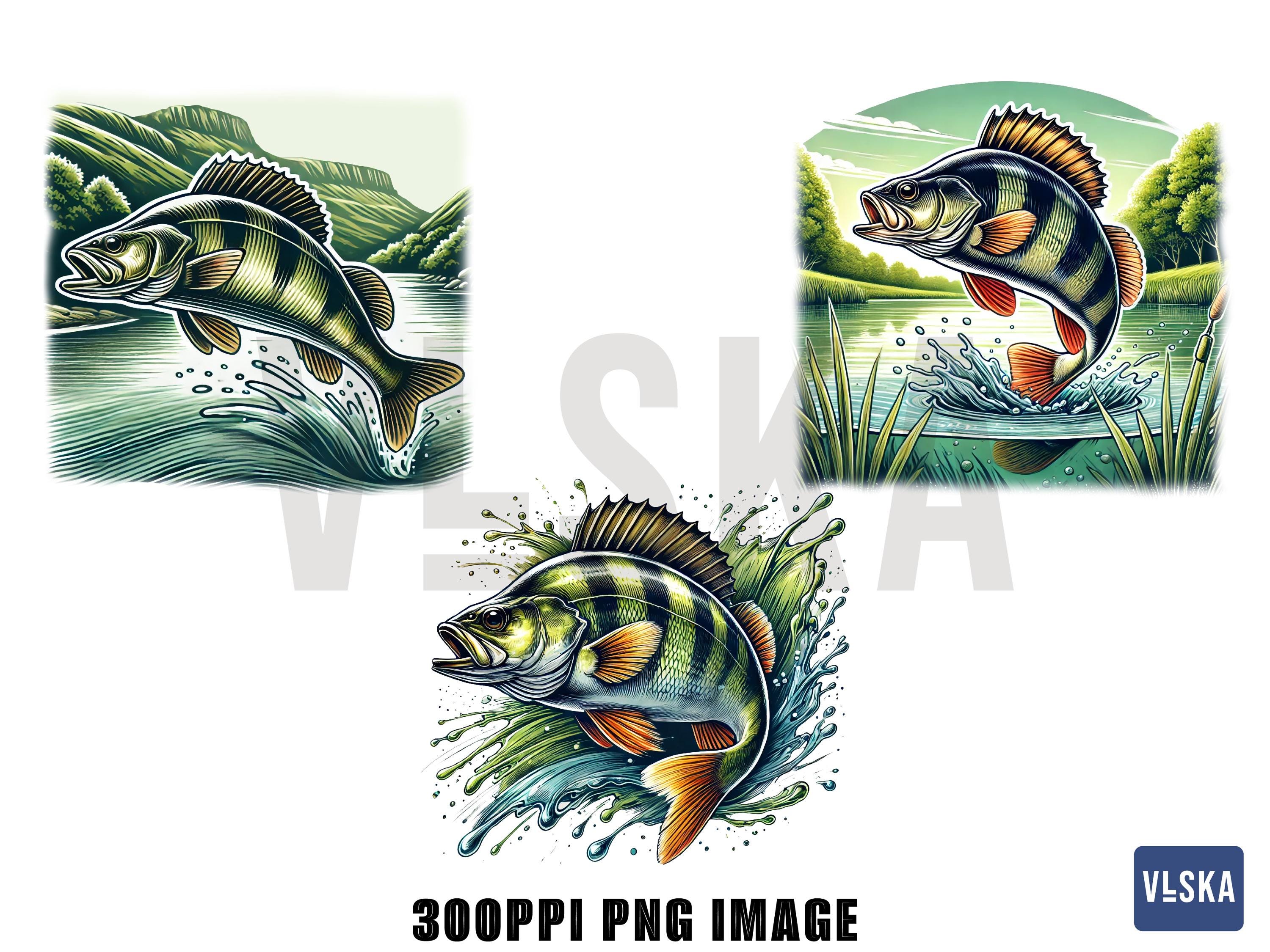 Perch Fish PNG Clipart Bundle | Perch Fishing PNG, Digital Graphic ...