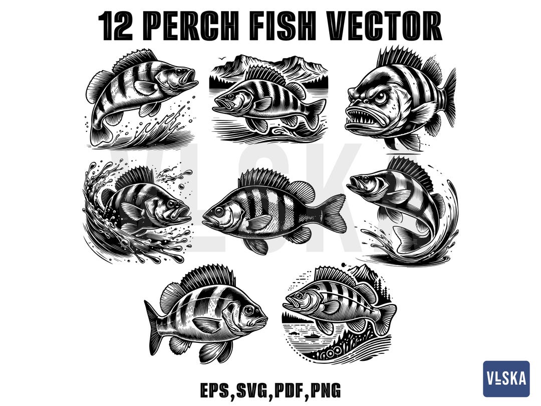 Perch Fish Vector SVG Bundle | Perch Fishing SVG | Fishing SVG ...