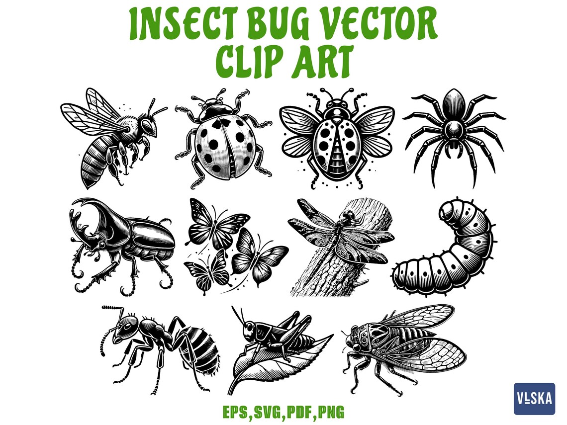 Insect Bug SVG Bundle for Cricut & Laser Cut – Butterfly, Beetle ...