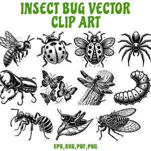 Insect Bug SVG Bundle for Cricut & Laser Cut – Butterfly, Beetle ...