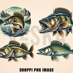 Walleye Fish PNG Bundle | Walleye Fishing Png | Fishing Png | Jumping ...