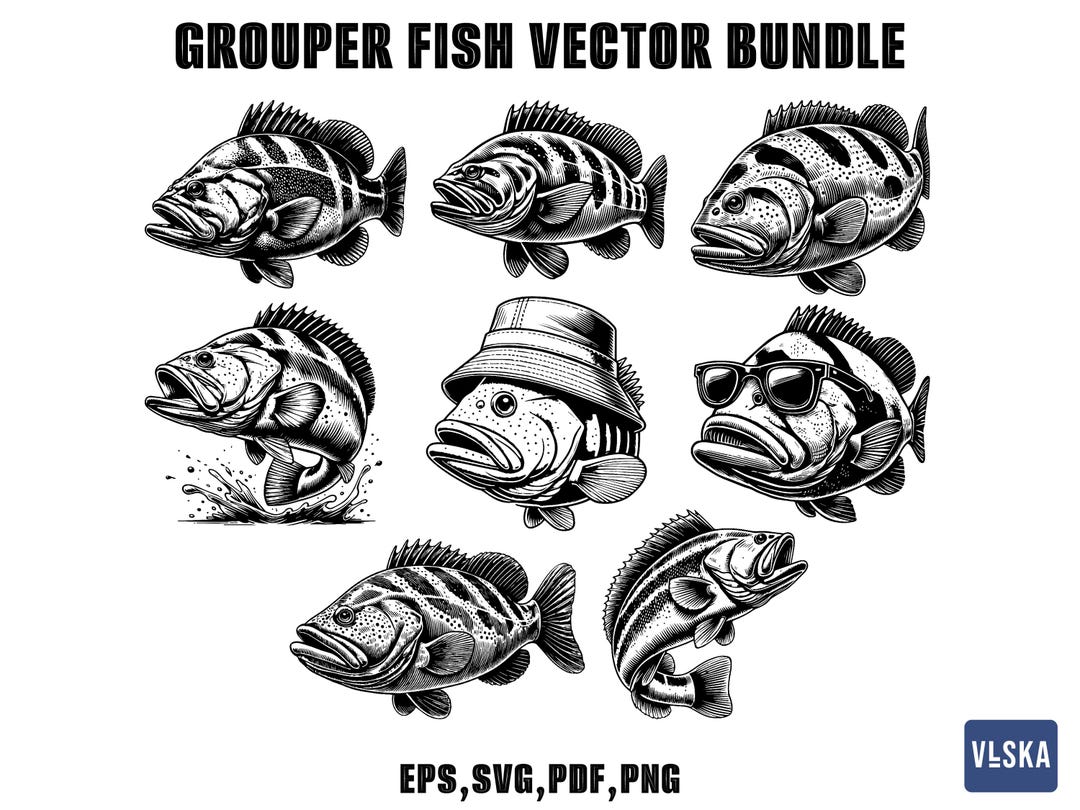 Grouper Fish Vector Bundle | Grouper Fish Clipart | Fishing Svg | Eps ...