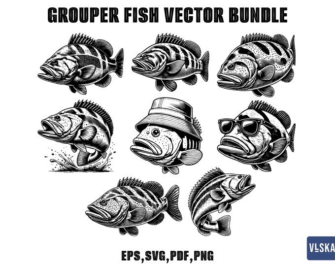 6 Grouper Fish Clipart, Grouper Fish Clipart PNG, Fishing, Digital ...