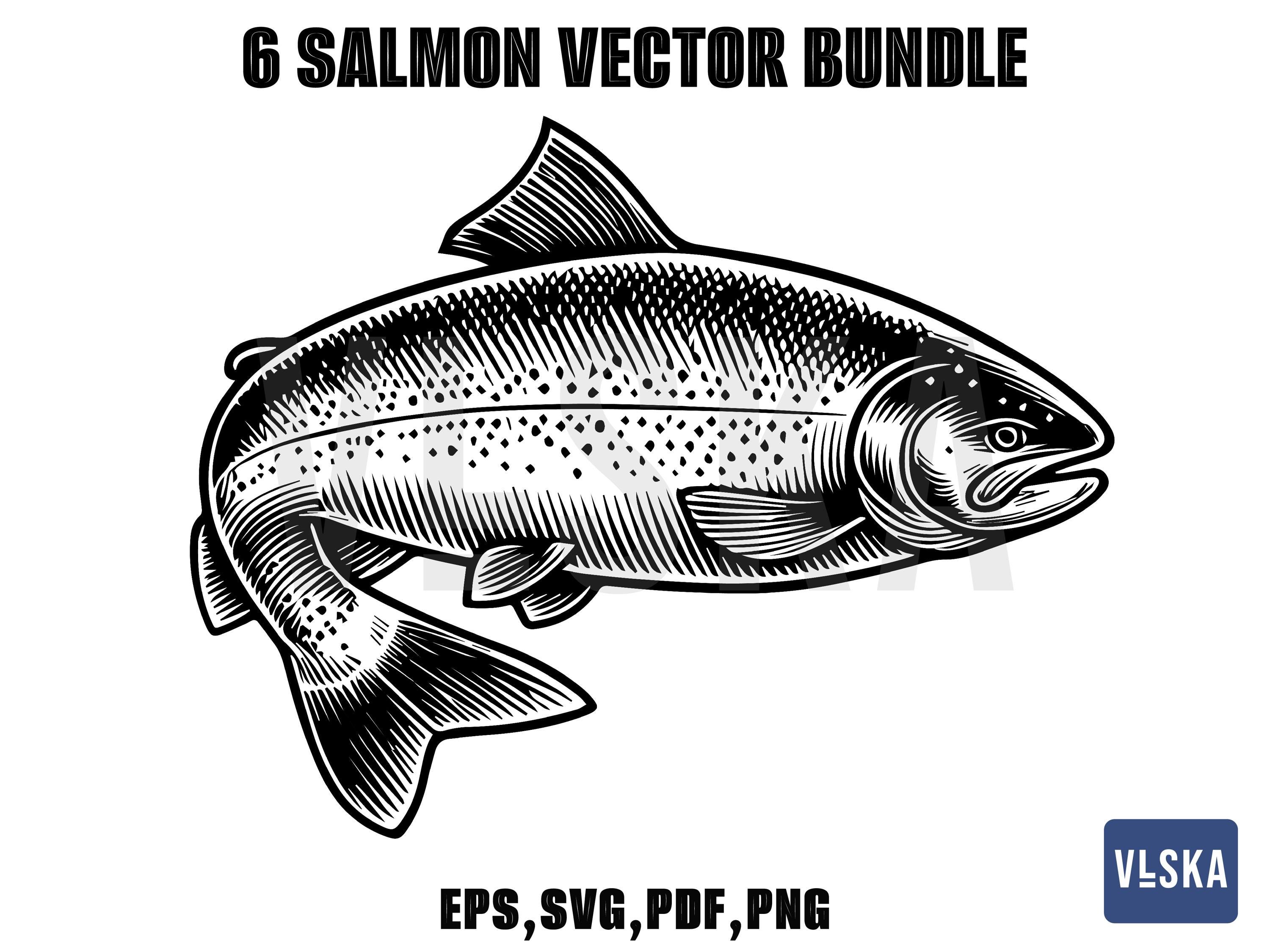 Salmon Vector SVG Bundle | Salmon Fishing Svg | Trout Svg | Salmon Svg ...