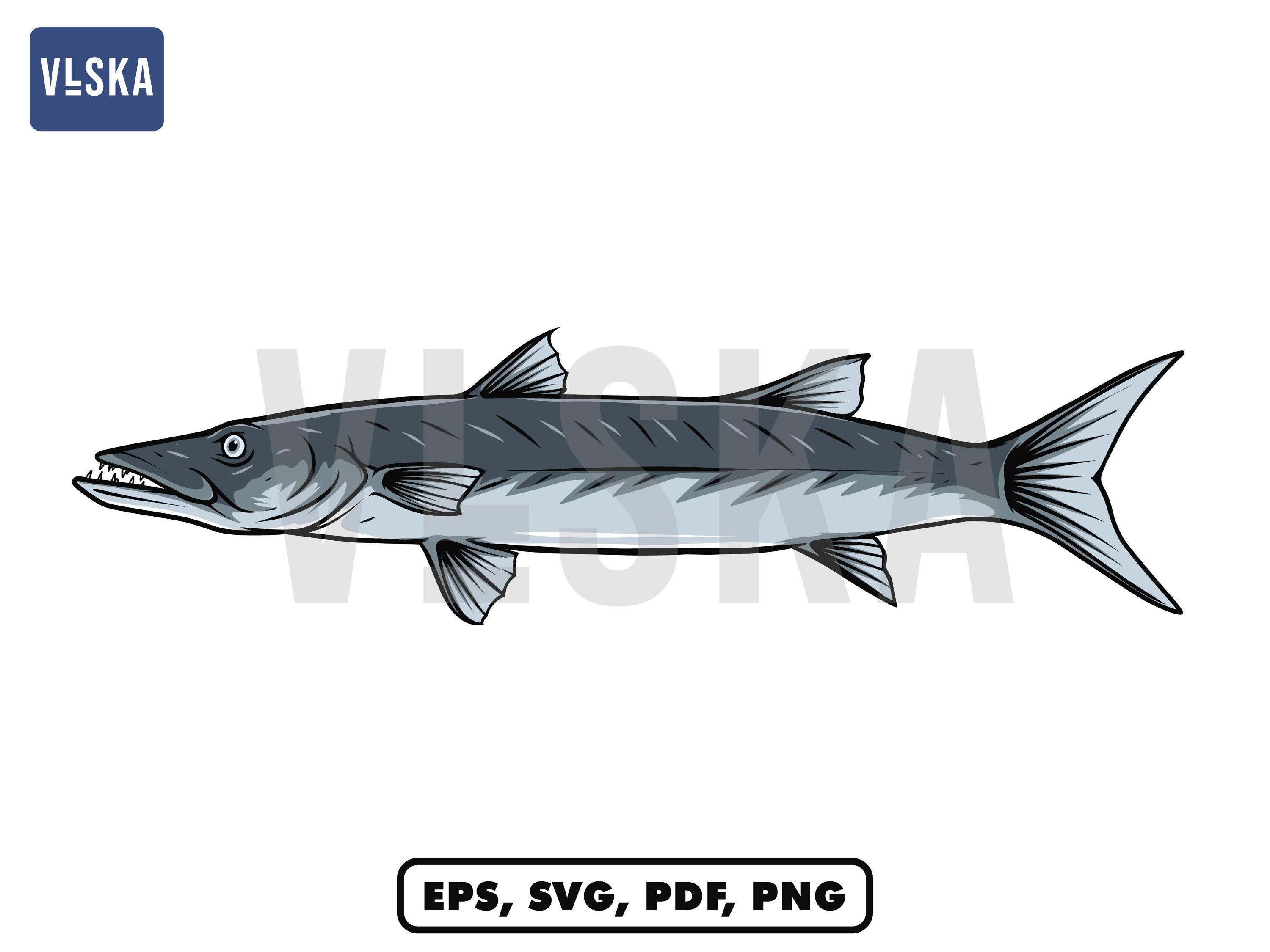 Barracuda Fishing Svg, Fishing Svg, Barracuda Fish Svg, Barracuda ...