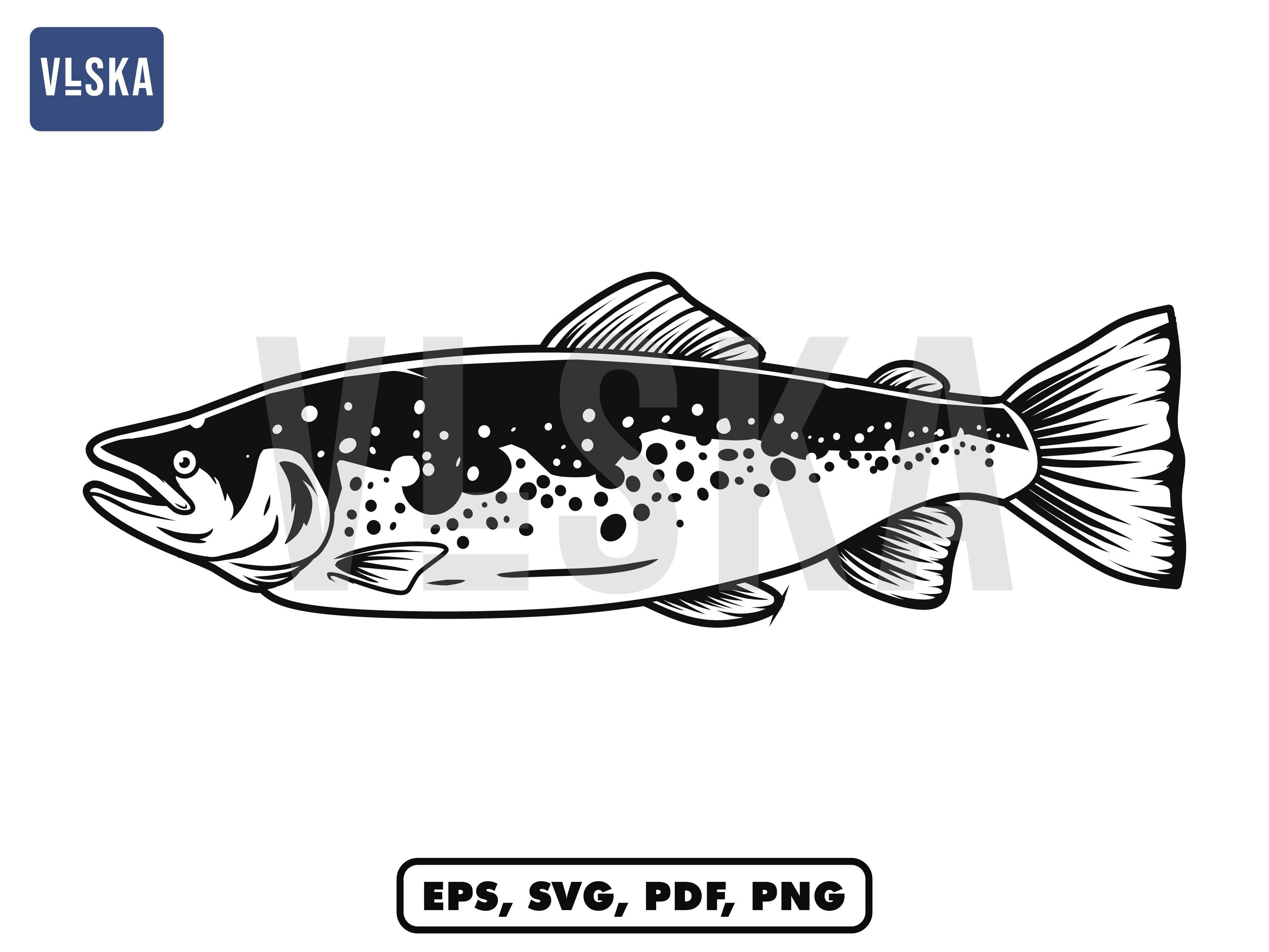 Salmon Vector Clipart SVG | Salmon Fishing Svg | Salmon Fish Svg ...