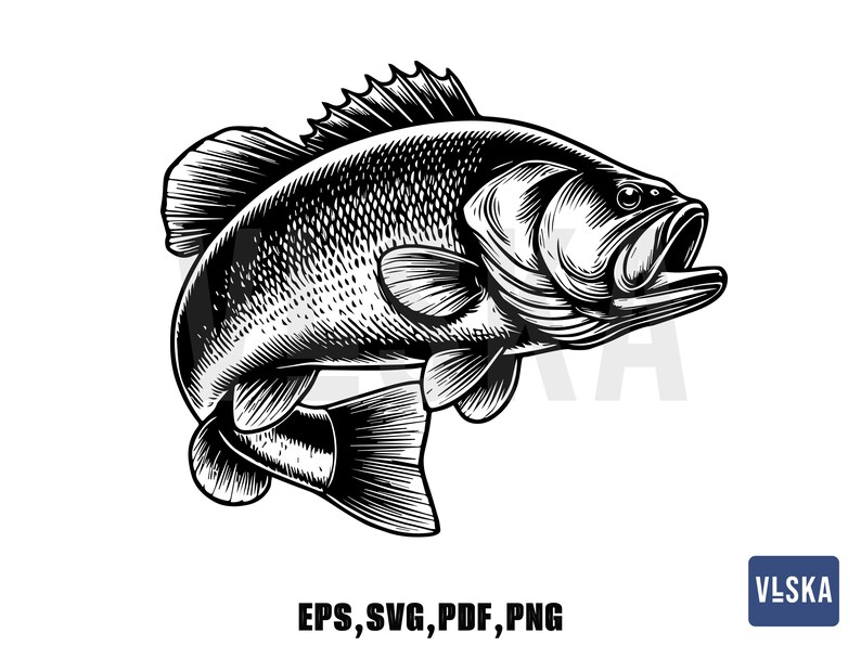 Largemouth Bass Fish Vector Bundle | Bass Fishing SVG | Fishing SVG ...