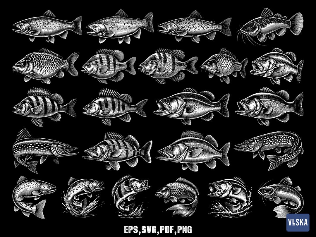 Freshwater Fish SVG Bundle | 23 Fishing Vector Clipart PNG EPS | Bass ...