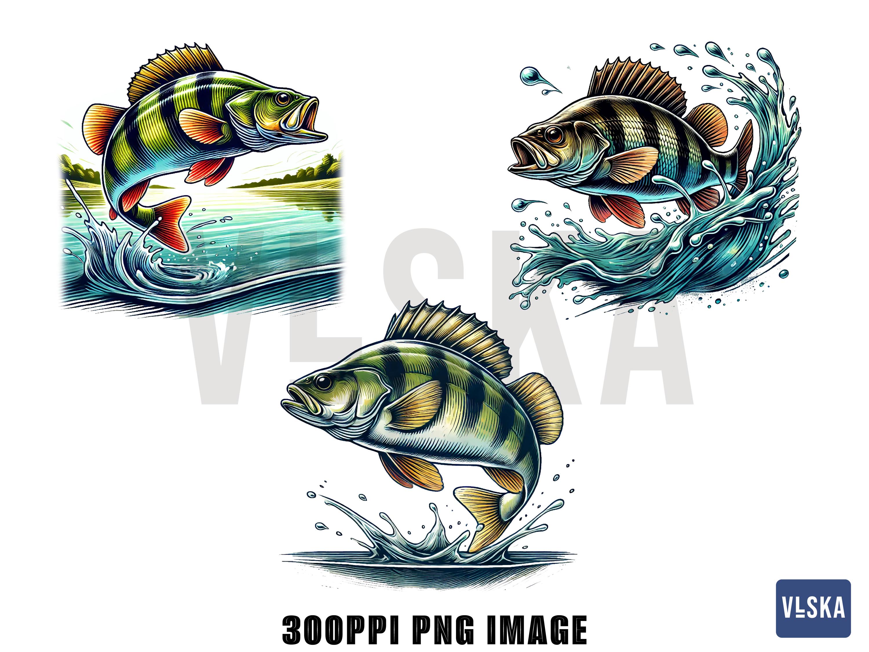 Perch Fish PNG Clipart Bundle | Perch Fishing PNG, Digital Graphic ...