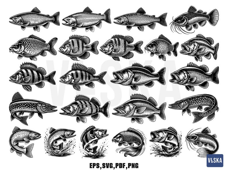 Freshwater Fish SVG Bundle | 23 Fishing Vector Clipart PNG EPS | Bass ...