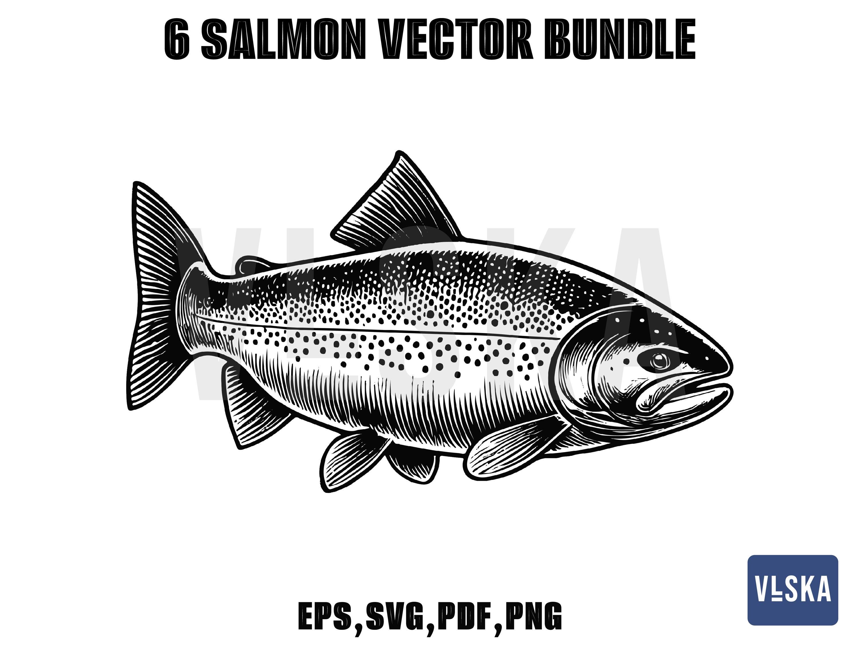 Salmon Vector SVG Bundle | Salmon Fishing Svg | Trout Svg | Salmon Svg ...