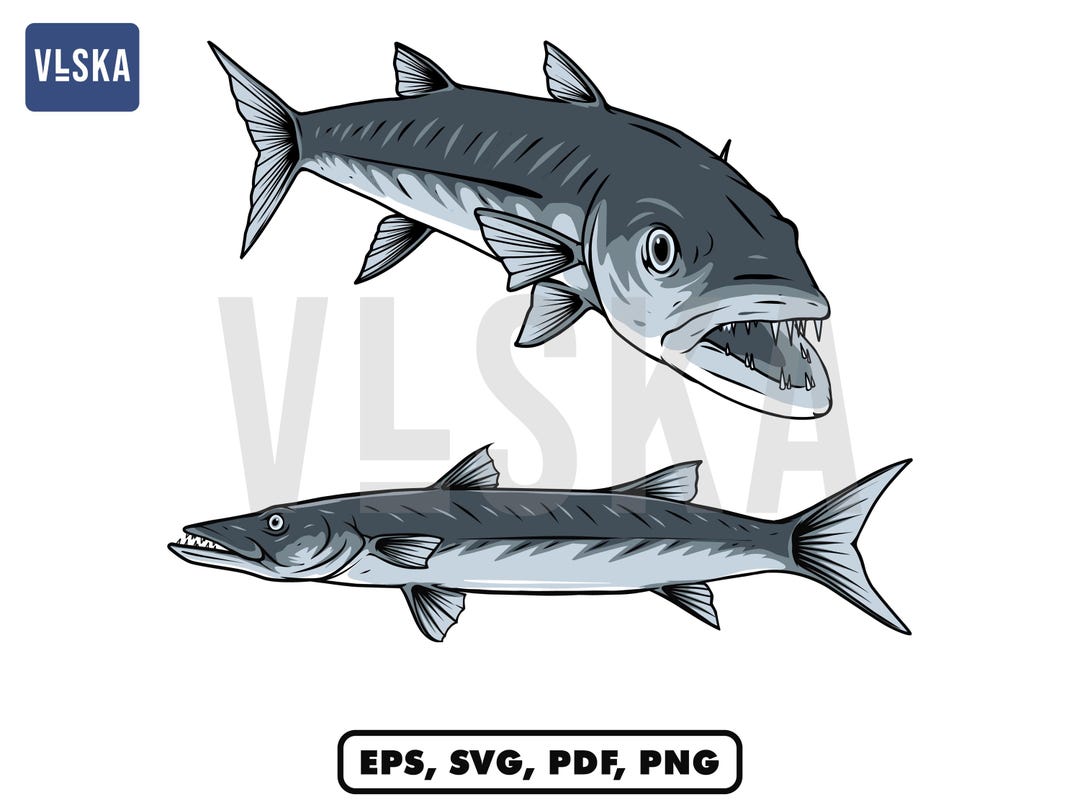 Barracuda Fishing Svg, Fishing Svg, Barracuda Fish Svg, Barracuda ...