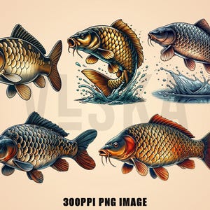 Carp Fishing PNG Bundle | Common Carp Fish | Fishing Png | Jumping Fish ...