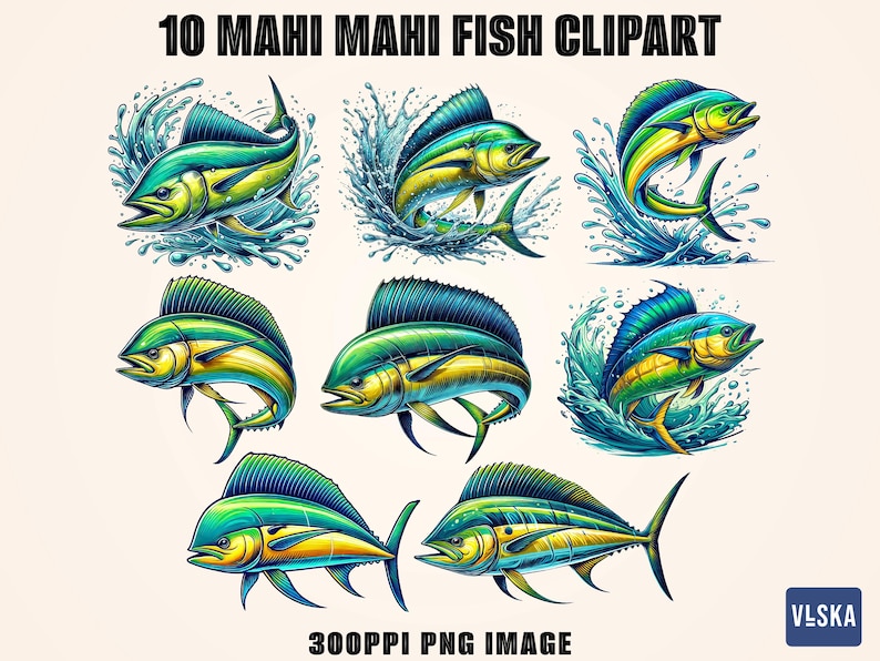 Mahi Mahi Fish PNG Bundle | Mahi Mahi Fishing Png | Fishing Png ...