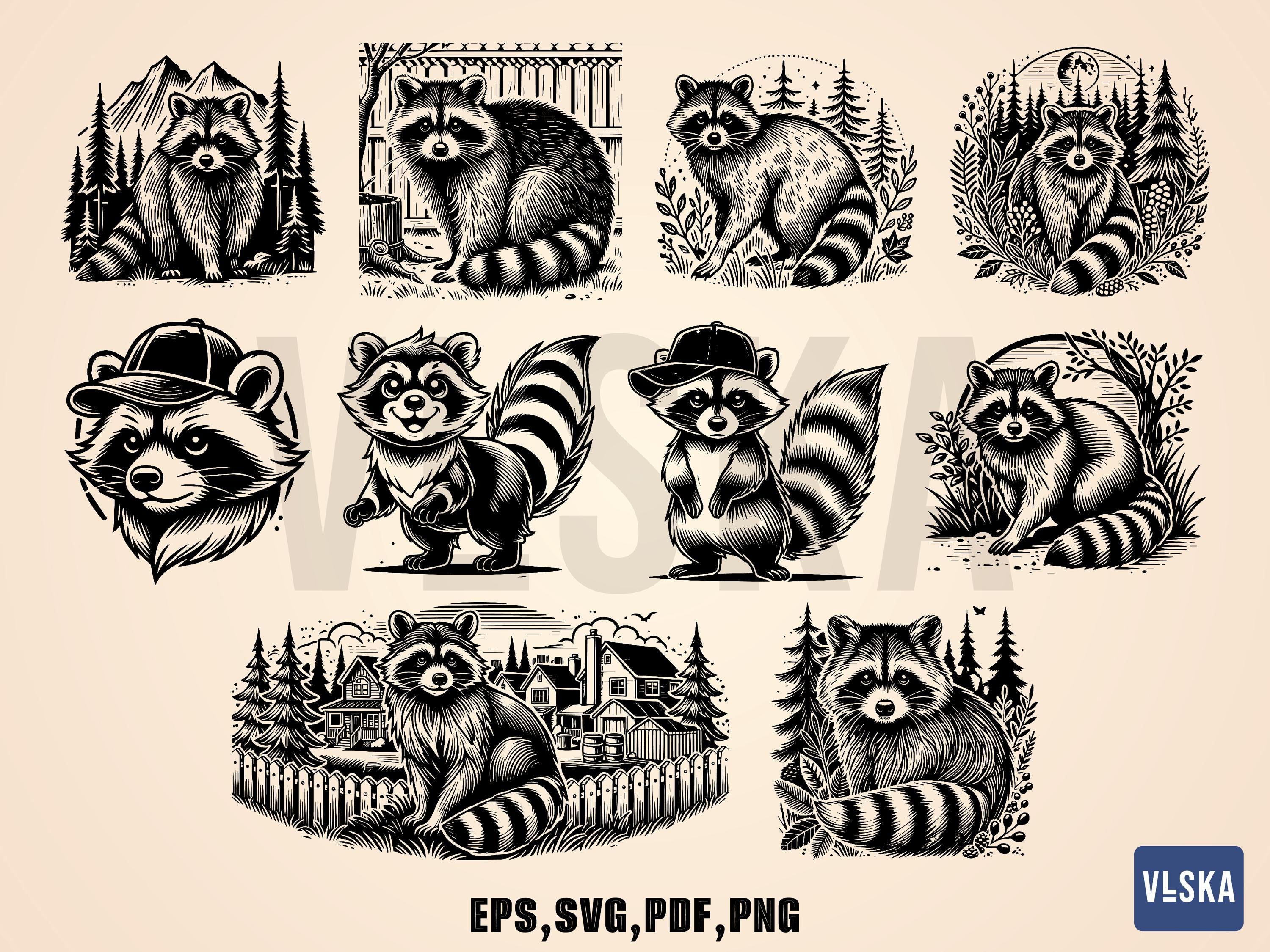 Paquete SVG de mapache vectorial / Silueta de mapache vectorial ...