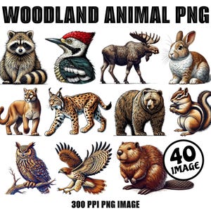 Woodland Animals PNG Clipart Bundle | Forest Creatures for T-shirt ...