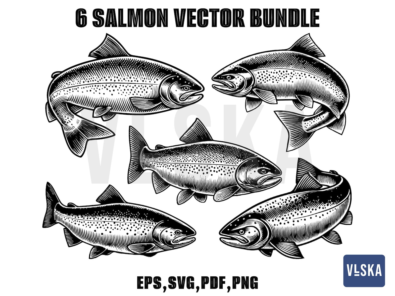 Salmon Vector SVG Bundle | Salmon Fishing Svg | Trout Svg | Salmon Svg ...