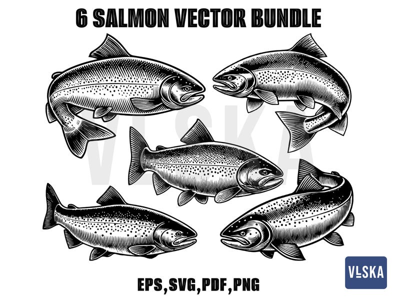 Salmon Vector SVG Bundle | Salmon Fishing Svg | Trout Svg | Salmon Svg ...