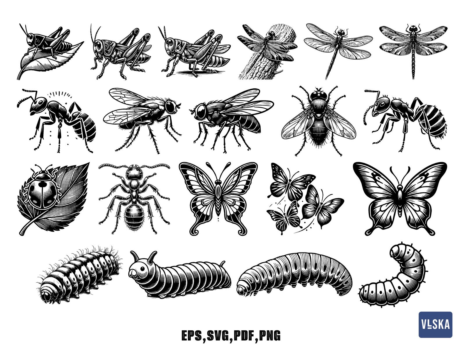 Insect Bug SVG Bundle for Cricut & Laser Cut – Butterfly, Beetle ...