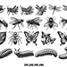 Insect Bug SVG Bundle for Cricut & Laser Cut – Butterfly, Beetle ...