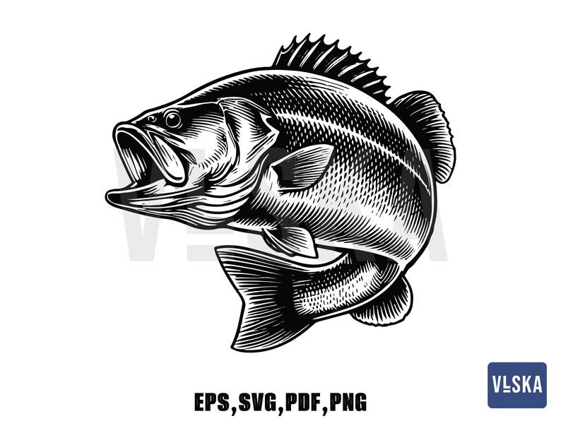 Largemouth Bass Fish Vector Bundle | Bass Fishing SVG | Fishing SVG ...