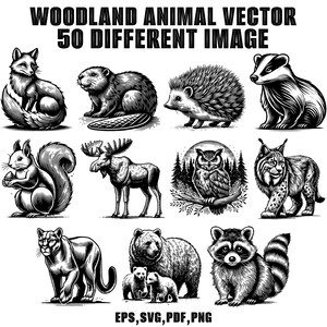 Woodland Animals SVG Clipart | Forest Animal Vector Clipart for Laser ...