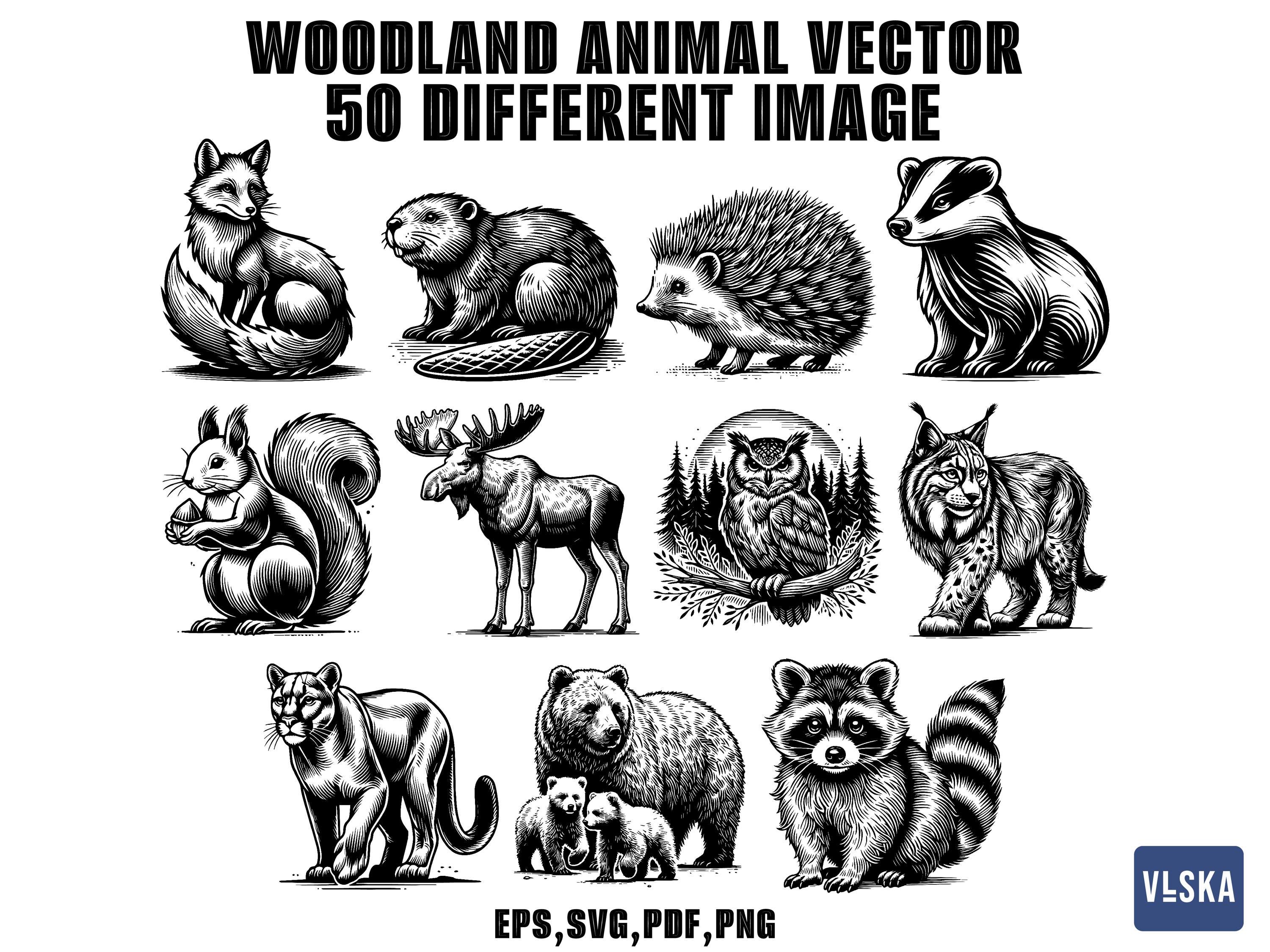 Woodland Animals SVG Clipart | Forest Animal Vector Clipart for Laser ...