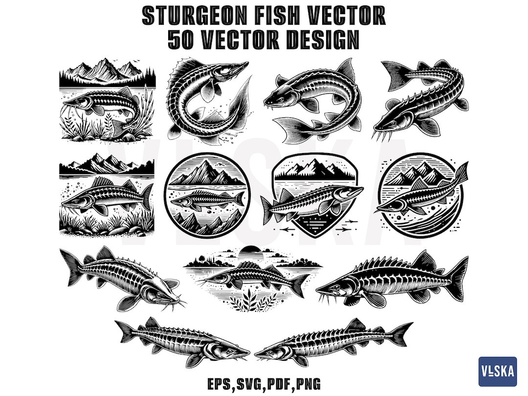 Sturgeon Fish Vector SVG Bundle | Sturgeon Fishing SVG | Fishing SVG ...
