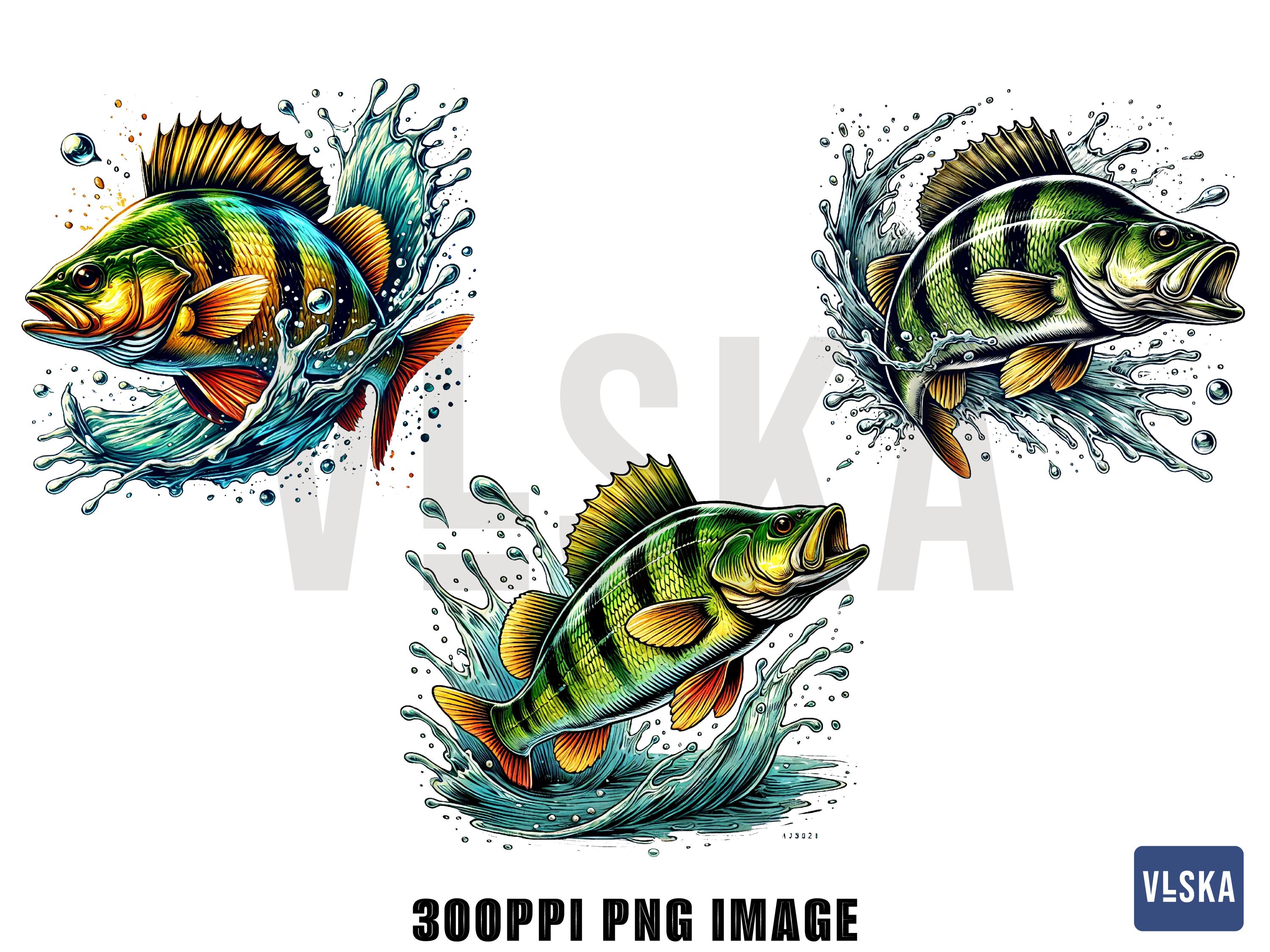 Perch Fish PNG Clipart Bundle | Perch Fishing PNG, Digital Graphic ...