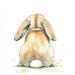 10 Printable Cute Rabbit Butt Clipart, Watercolor Art, Funny Rabbit ...