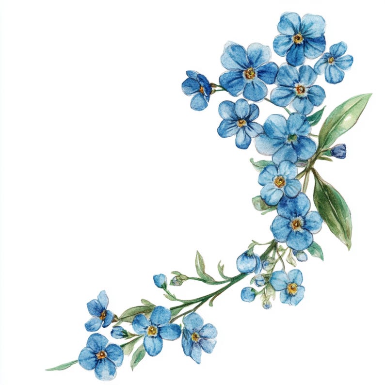 Printable Forget-me-not Corner, Watercolor Forgetmenot, Spring Clip Art ...