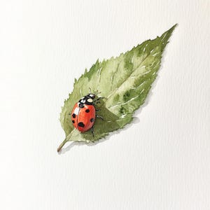 Printable Ladybug Decor, Watercolor Ladybug on Leaf, Insects Art, 10 ...