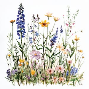 10 Printable Wildflowers Decor, Watercolor Flowers, Wildflower ...