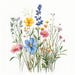 10 Printable Spring Wildflowers Decor, Watercolor Grassland Flowers ...