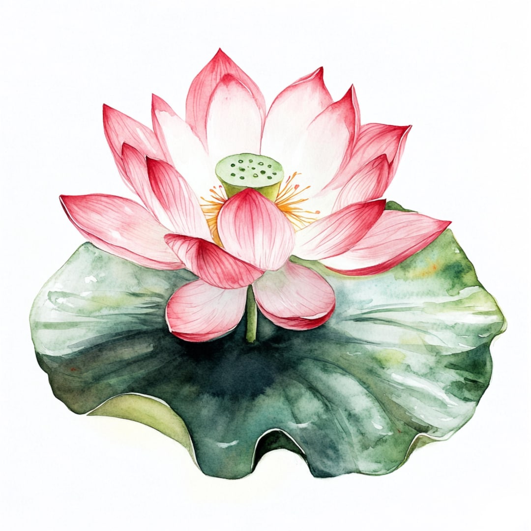 10 Printable Lotus Flower, Pink Flower, Lotus Gift Art, Watercolor ...